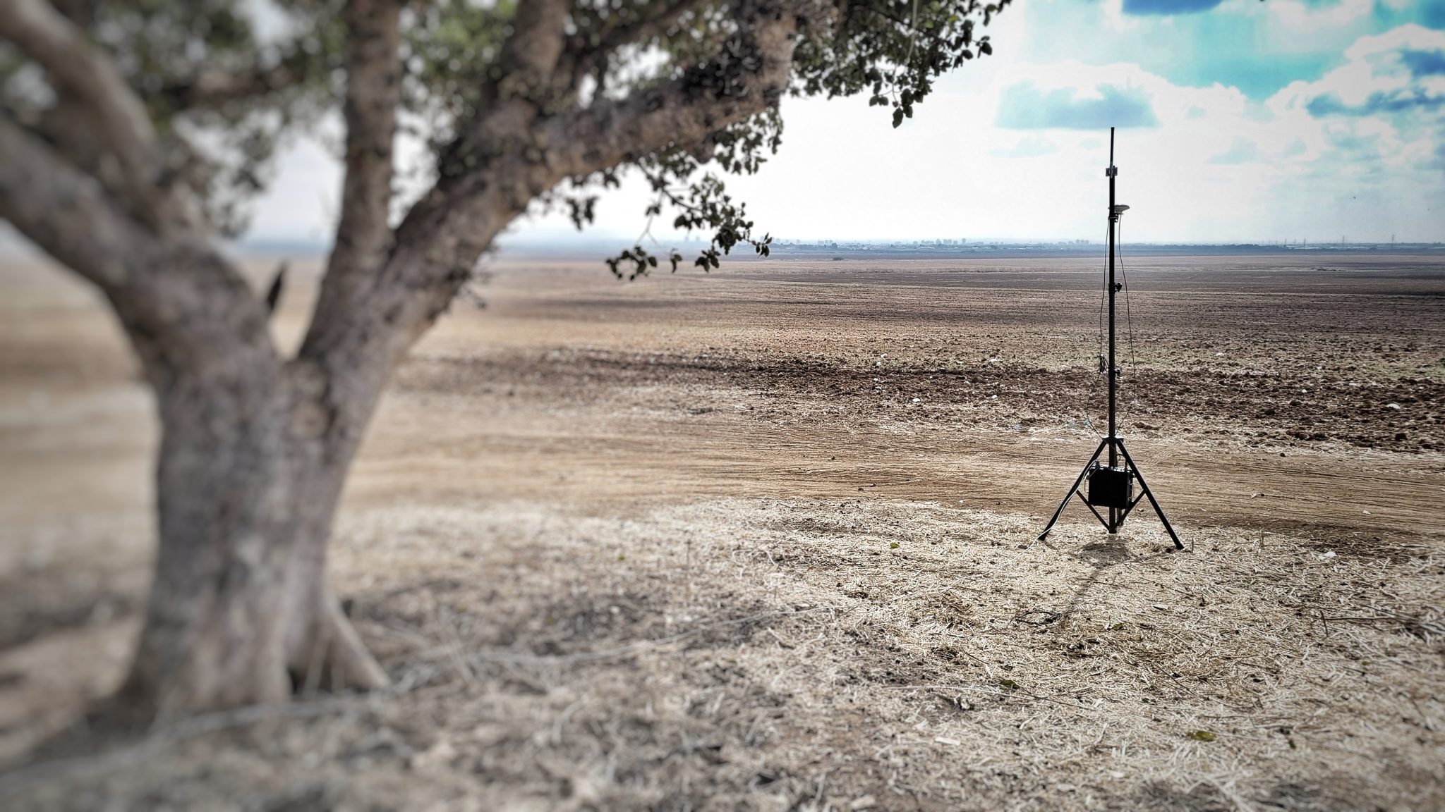 Regulus - About Regulus