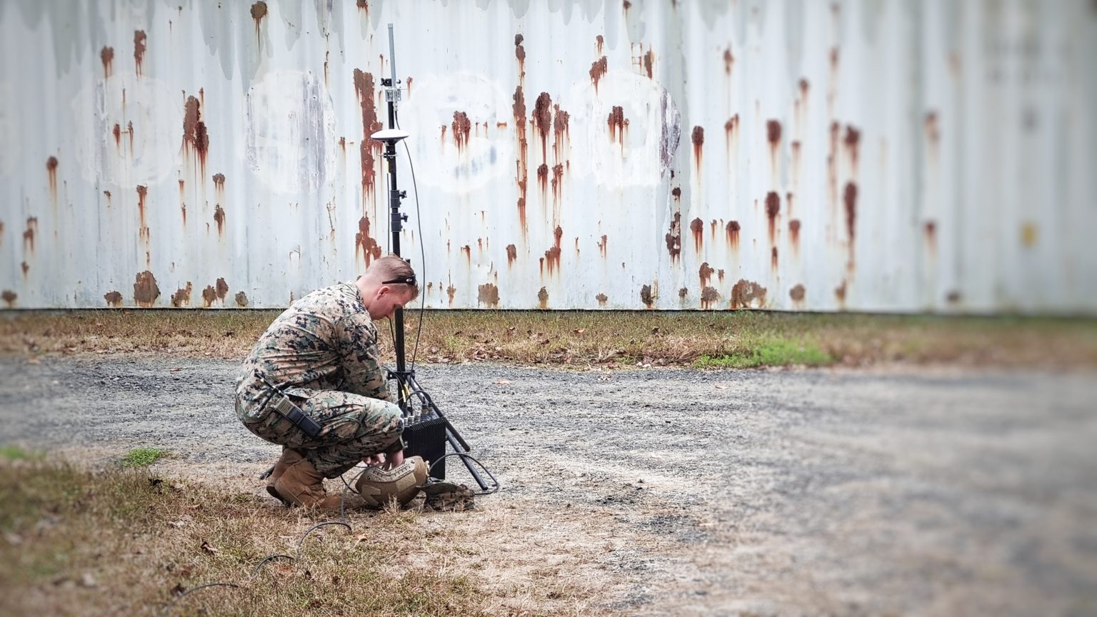 Regulus - About Regulus