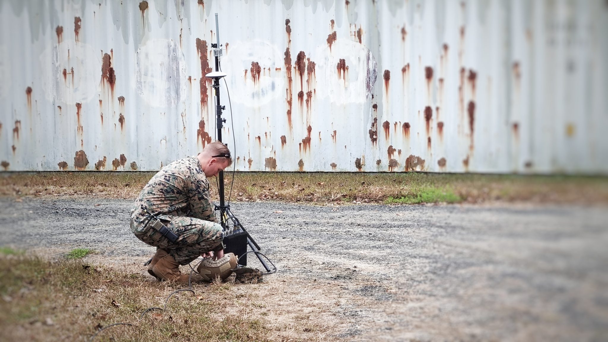 Regulus - About Regulus