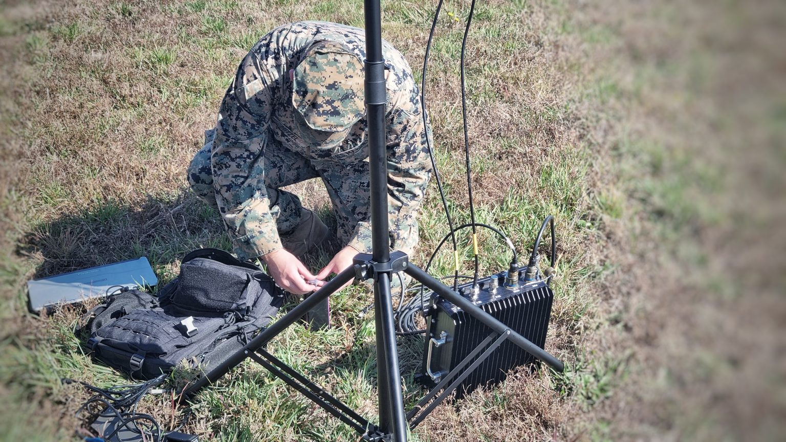 Regulus - About Regulus